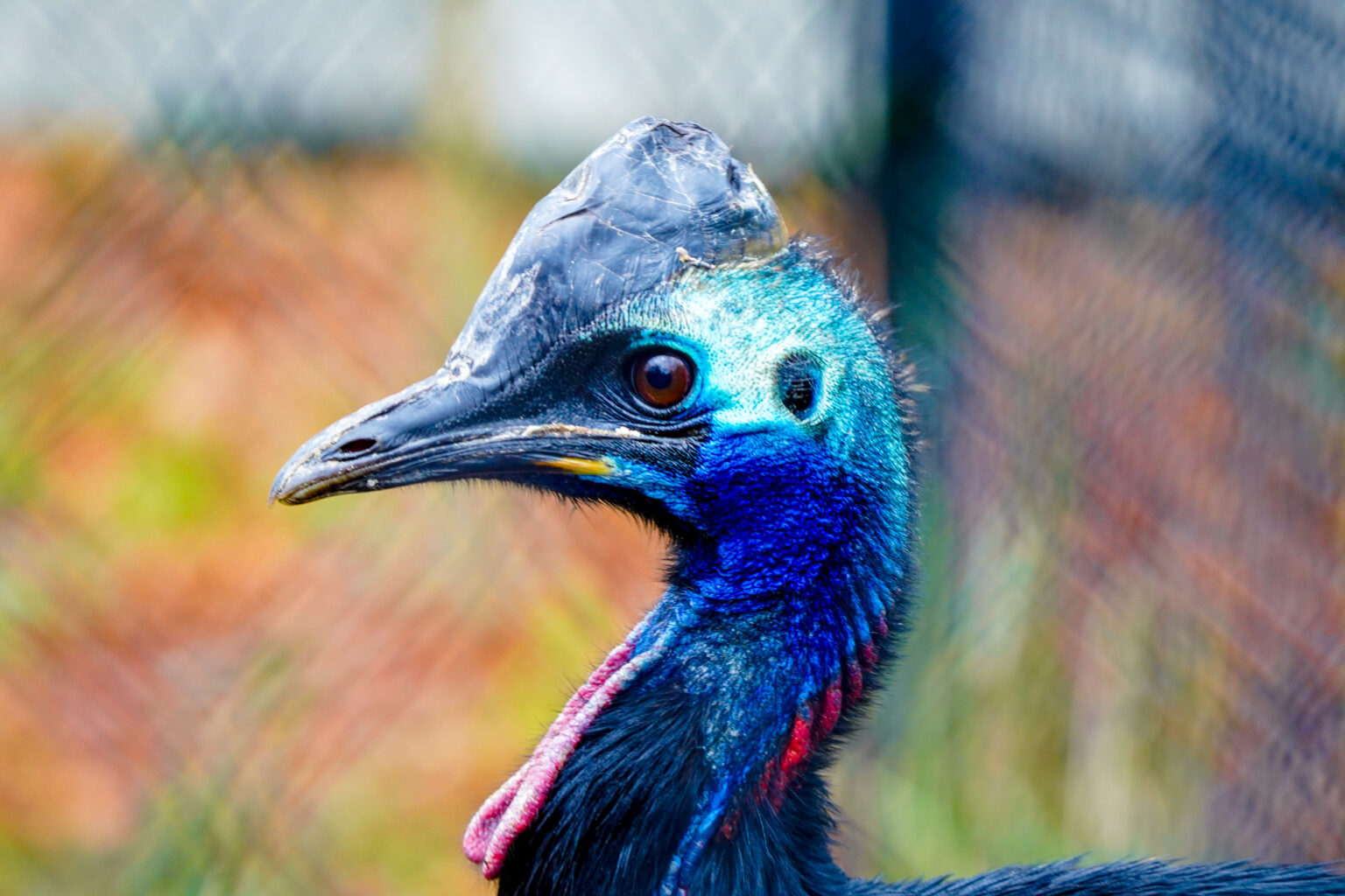 AZA Accreditation - Binder Park Zoo