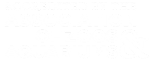 Binder Park Zoo | Connect. Inspire. Conserve.