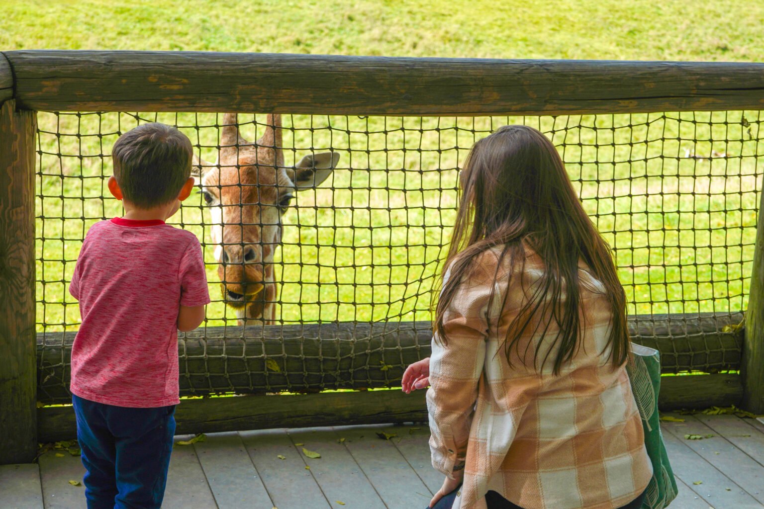 Visitor Information - Binder Park Zoo