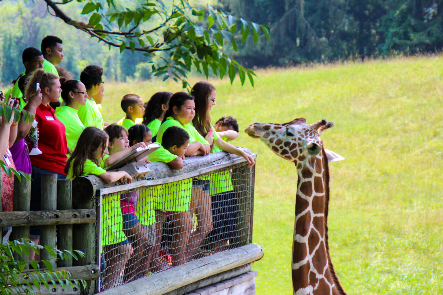 Visitor Information - Binder Park Zoo