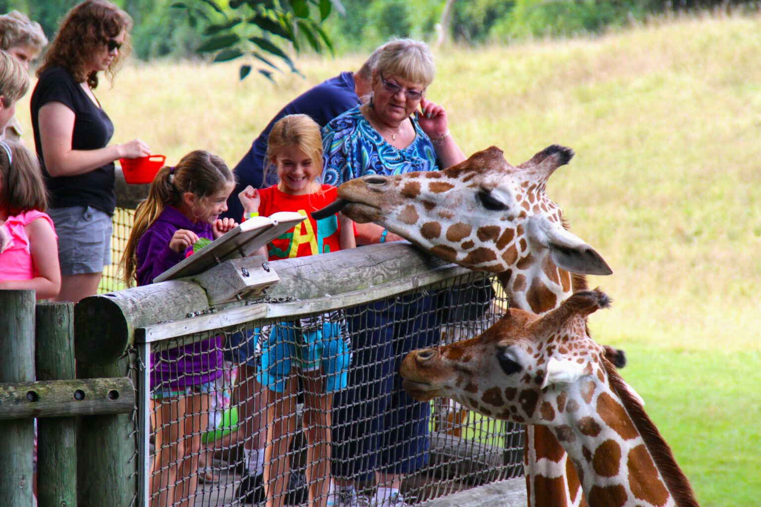 Visitor Information - Binder Park Zoo