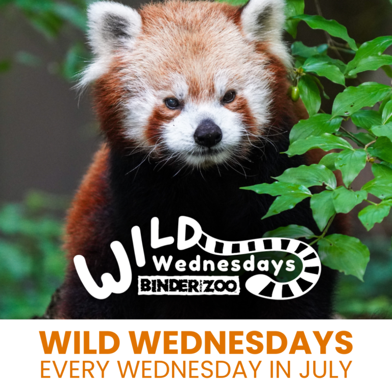 Binder Park Zoo | Connect. Inspire. Conserve.