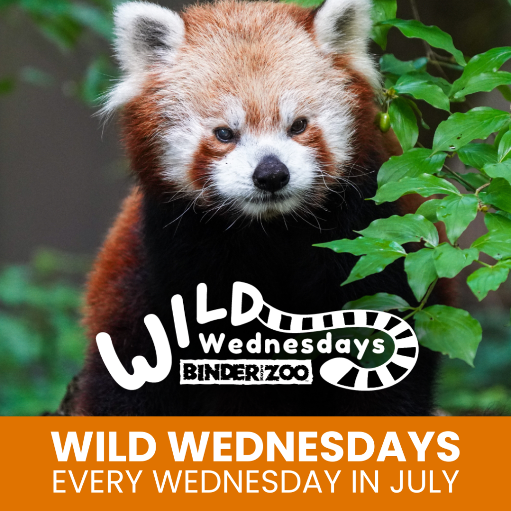 Binder Park Zoo | Connect. Inspire. Conserve.