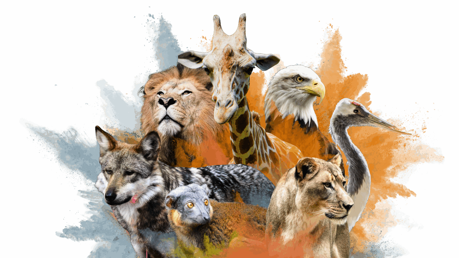 Binder Park Zoo | Connect. Inspire. Conserve.