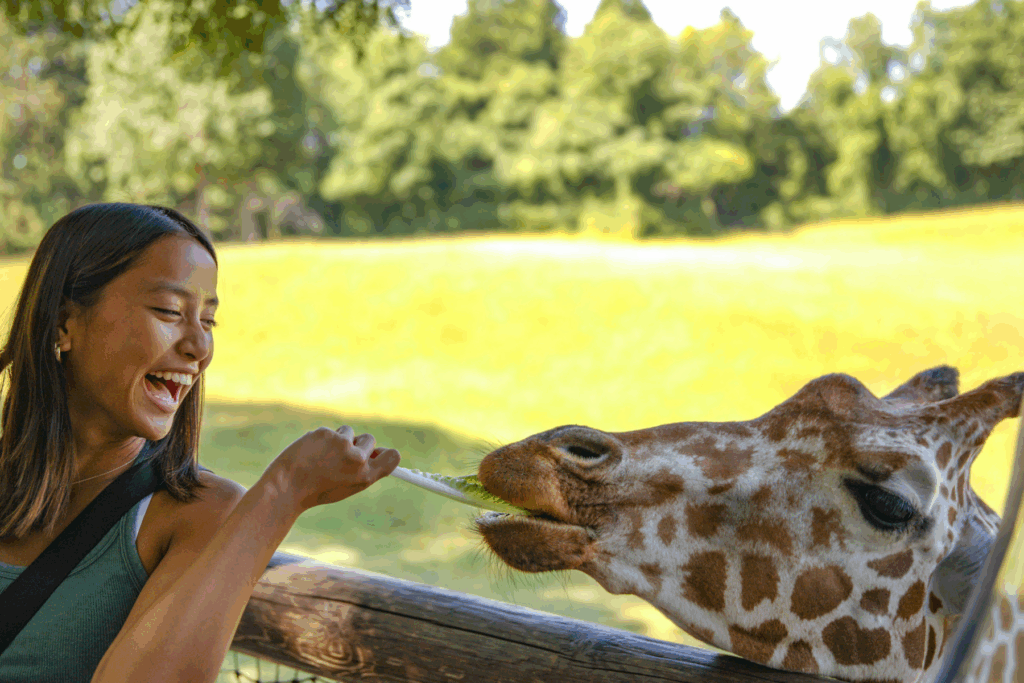 Memberships - Binder Park Zoo